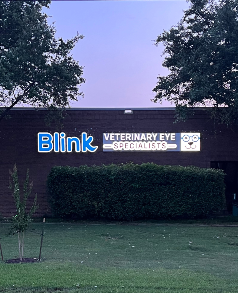Contact Us - Blink Veterinary Eye Specialists