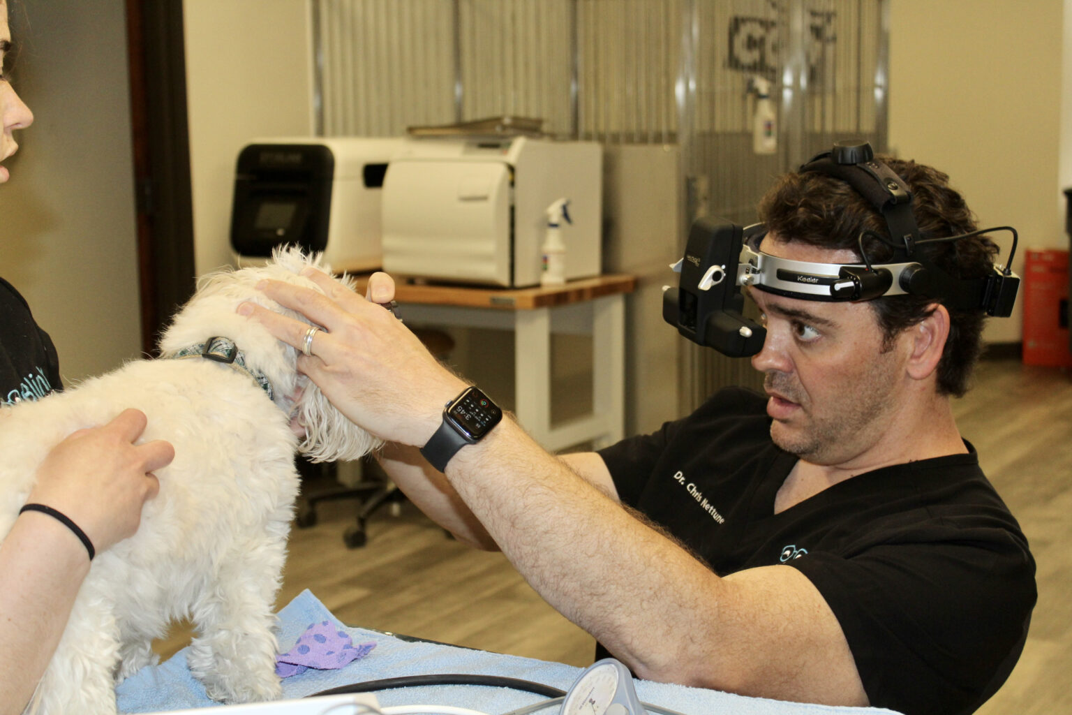 Veterinary Eye Services - Blink Veterinary Eye Specialists - Dallas TX